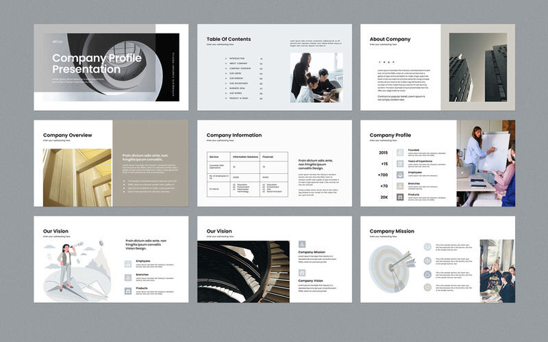 Company Profile Presentation Template - TemplateMonster