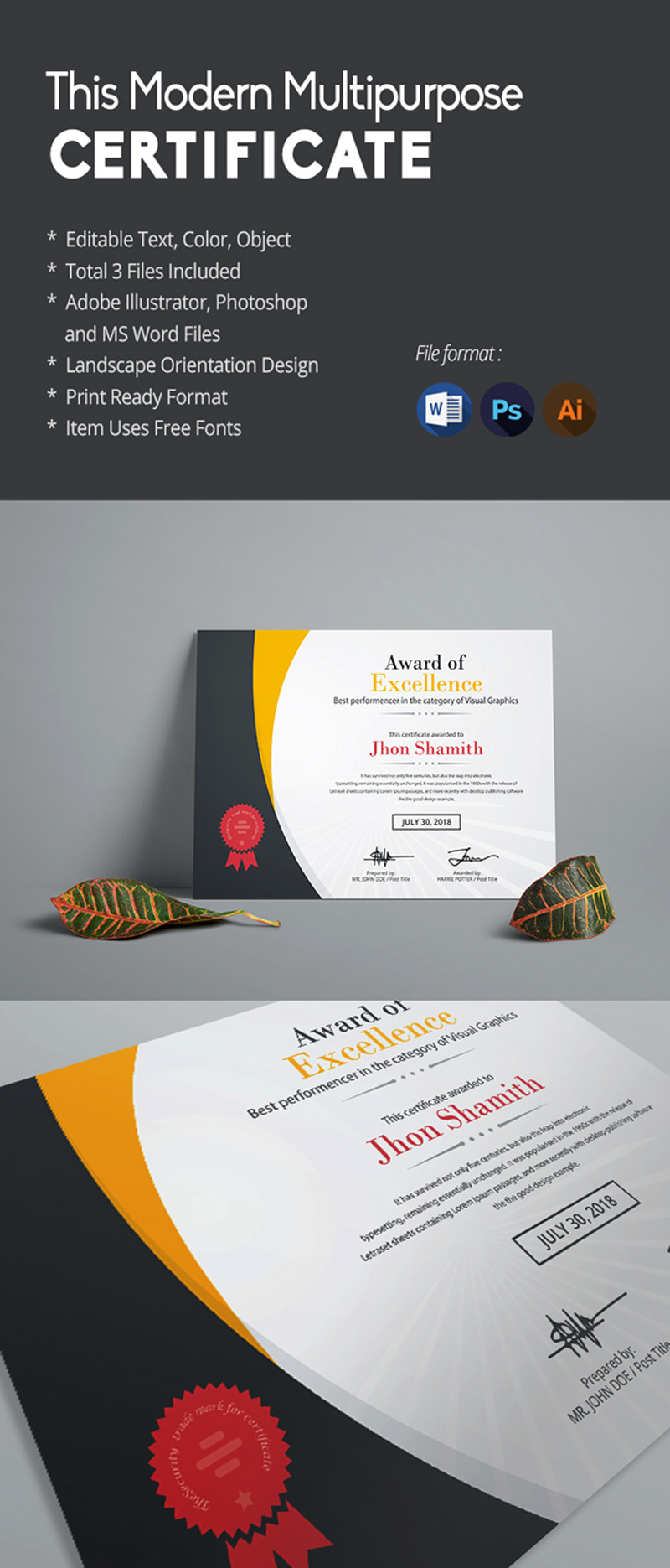 Creative Modern Certificate Template - TemplateMonster