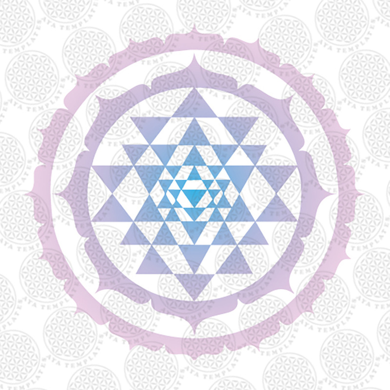 Sri Yantra Logo Sri Sri Yantra Meaning : Divine Energy And Abundance