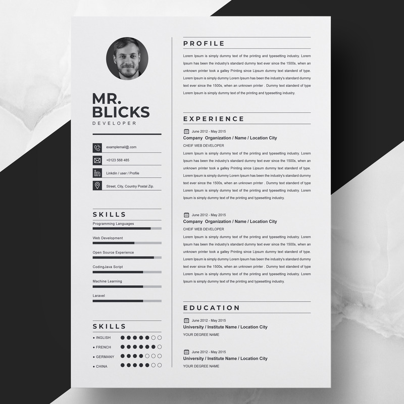 Mr. Blicks / Clean Resume Template #226116 - TemplateMonster