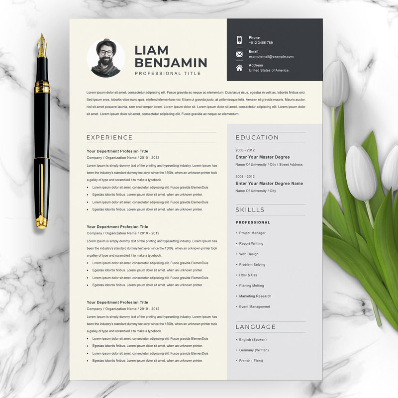 Liam Benjamin / CV Template #215859 - TemplateMonster