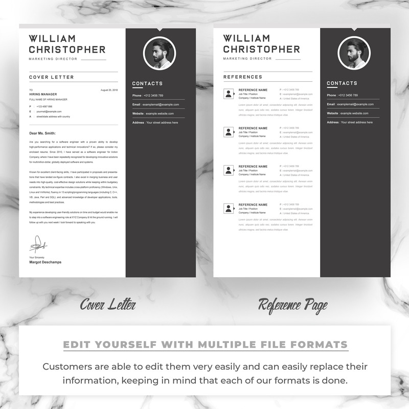 William / Professional Resume Template - TemplateMonster