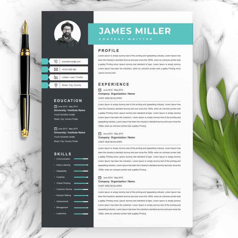 James Miller / CV Template #226126 - TemplateMonster