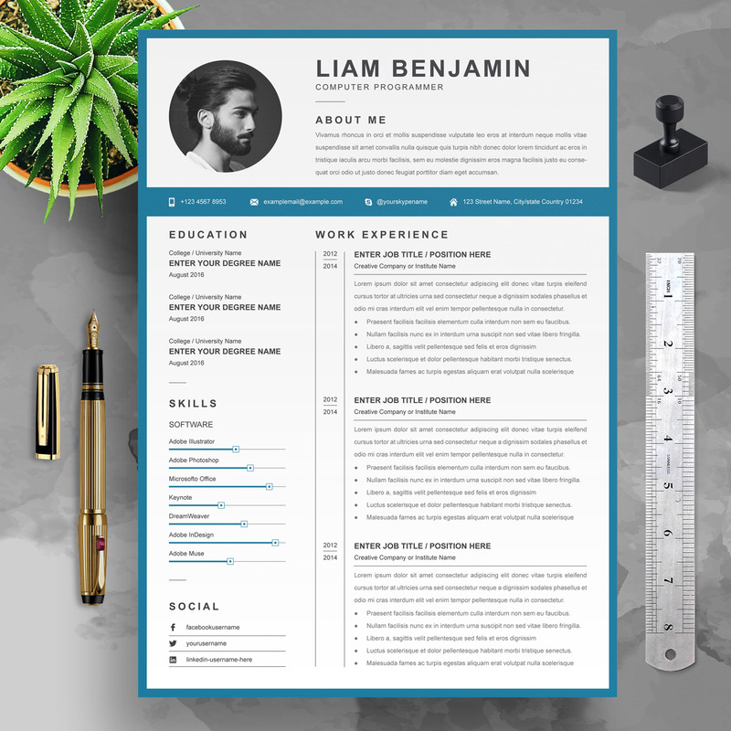 Lima Benjamin / CV Template #193245 - TemplateMonster