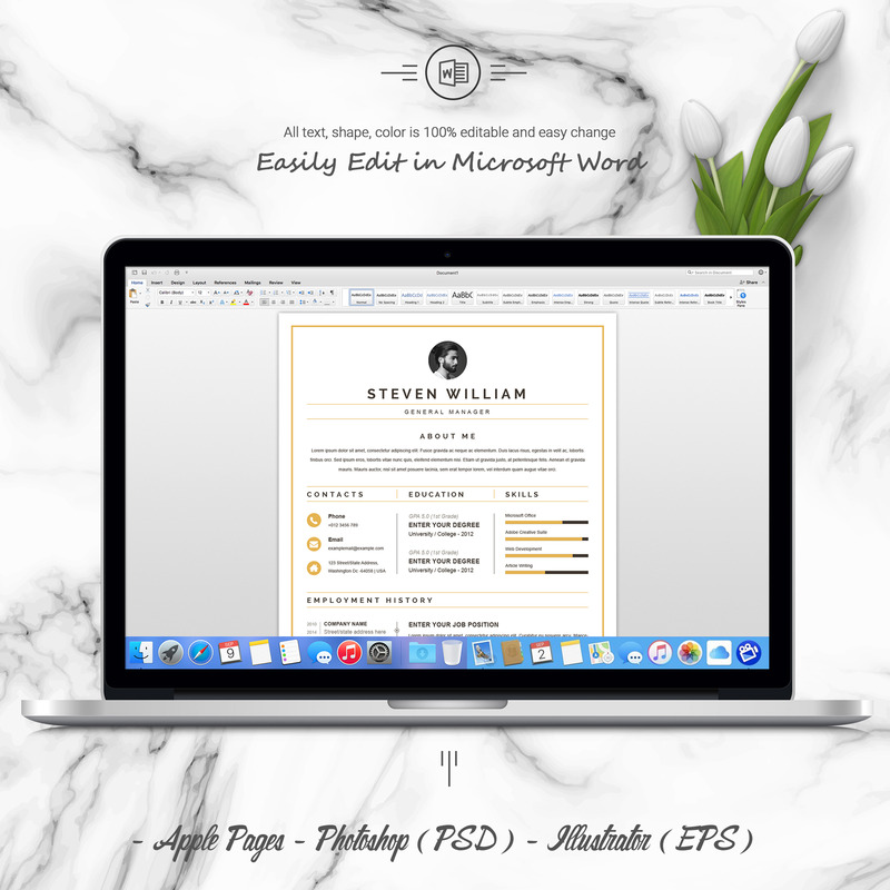 Steven / CV Template Printable Resume Templates