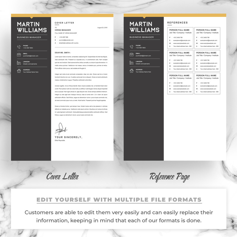 Martin / Professional CV Template #220161 - TemplateMonster