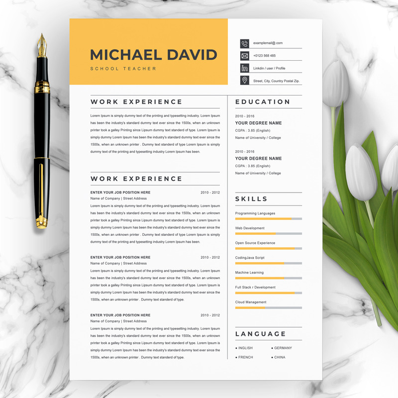 Michael David / Resume Template #226115 - TemplateMonster