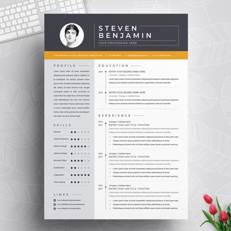 Steven Benjamin / Resume Template #186196 - TemplateMonster