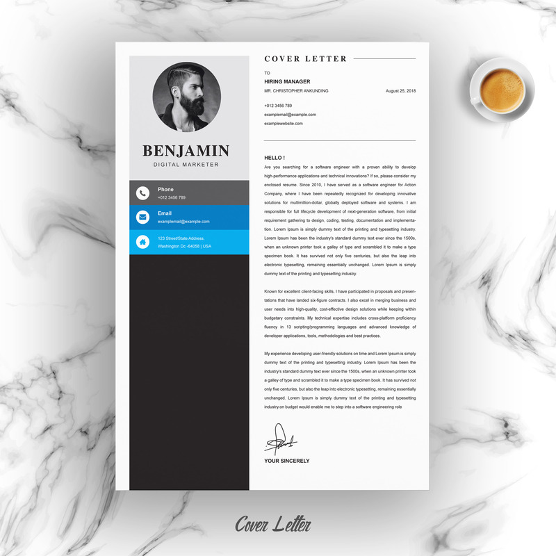 Benjamin / Professional Resume #195144 - TemplateMonster