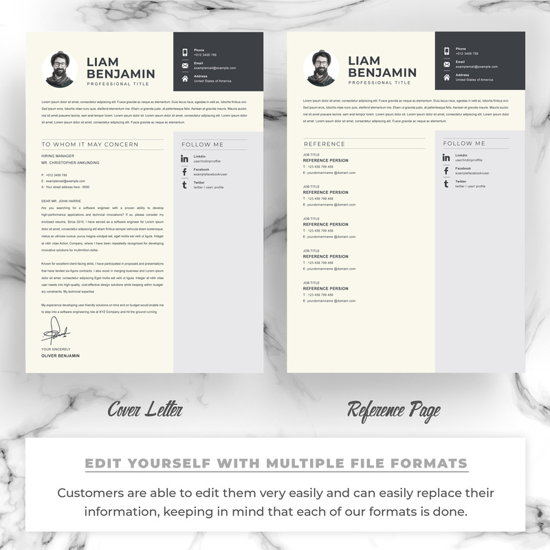 Liam Benjamin / CV Template #215859 - TemplateMonster