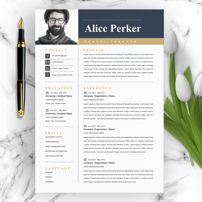 Alice Perker / CV Template #226119 - TemplateMonster