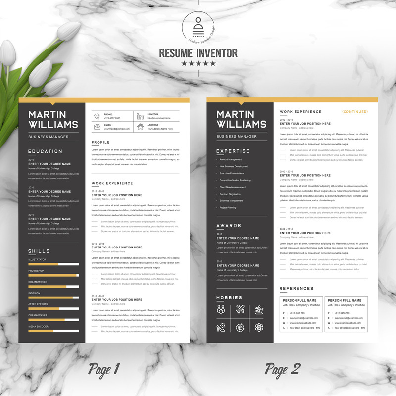 Martin / Professional CV Template #220161 - TemplateMonster