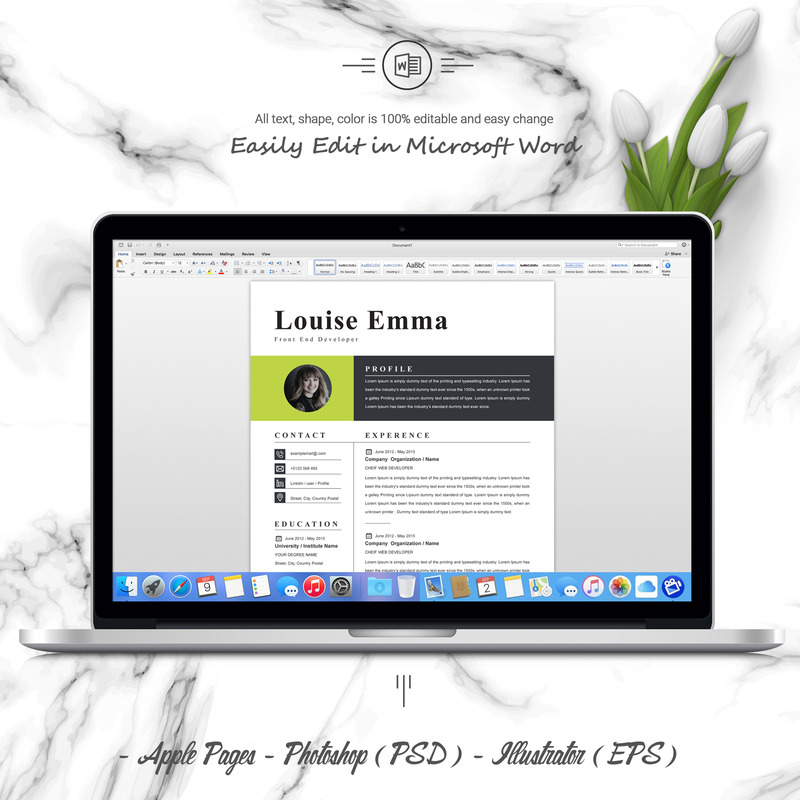 Louise Emma / Professional CV Template - TemplateMonster