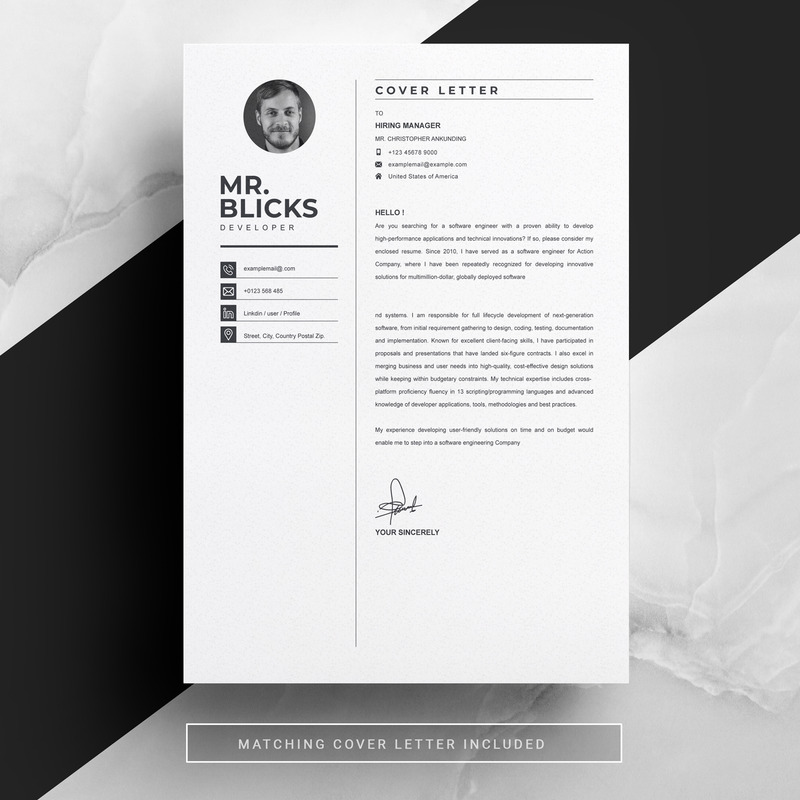 Mr. Blicks / Clean Resume Template #226116 - TemplateMonster