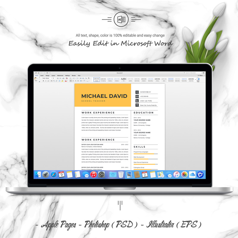 Michael David / Resume Template #226115 - TemplateMonster