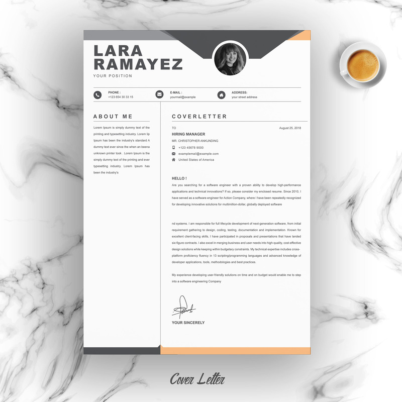 Lara Ramayez / CV Template #195820 - TemplateMonster
