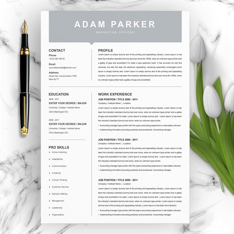 Adam Parker / Resume Template #201125 - TemplateMonster