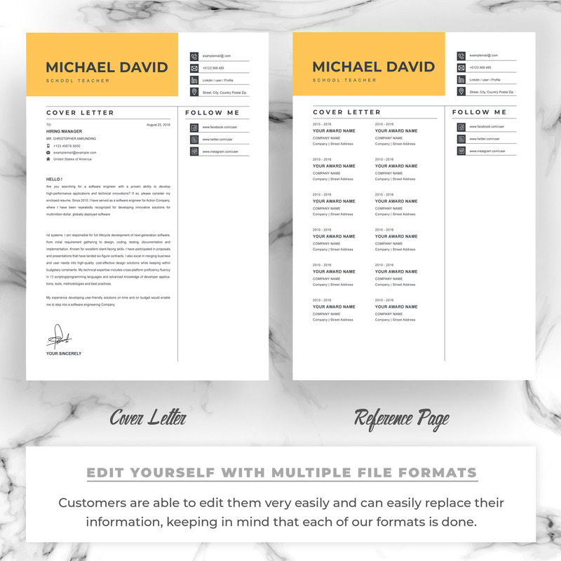 Michael David / Resume Template #226115 - TemplateMonster