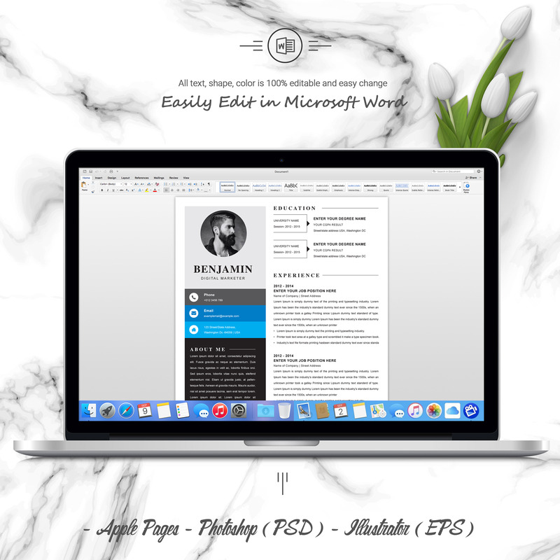 Benjamin / Professional Resume #195144 - TemplateMonster