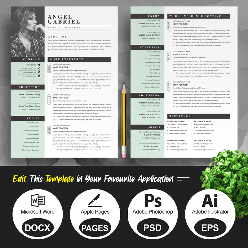 Angel / Professional Resume Template - TemplateMonster