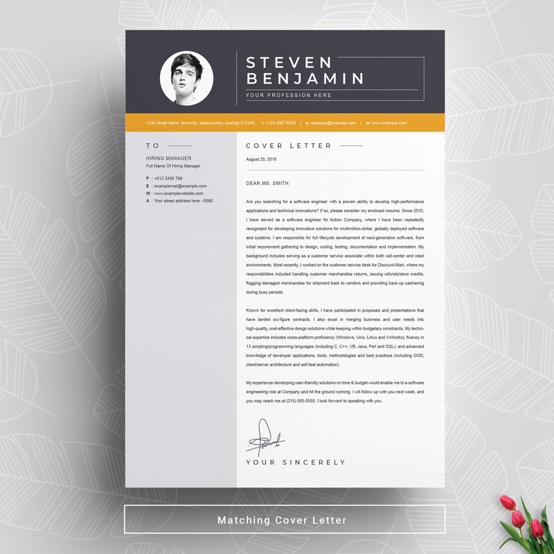 Steven Benjamin / Resume Template #186196 - TemplateMonster