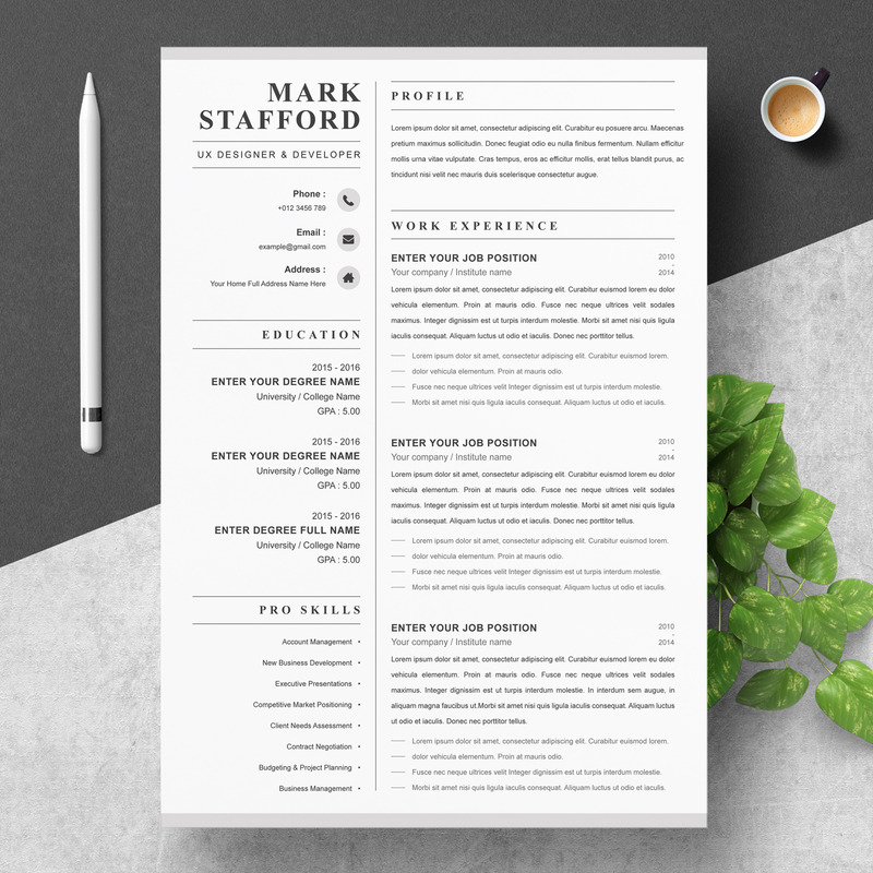 Mark / Clean Resume CV Template #234083 - TemplateMonster