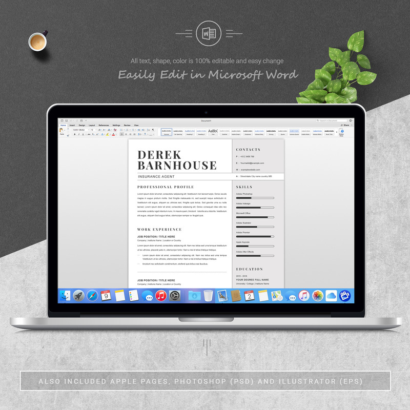 Derek / Professional Printable Resume Templates