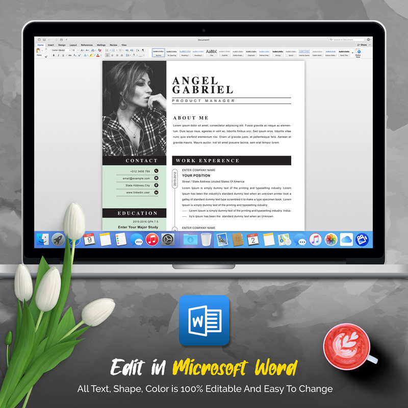 Angel / Professional Resume Template - TemplateMonster