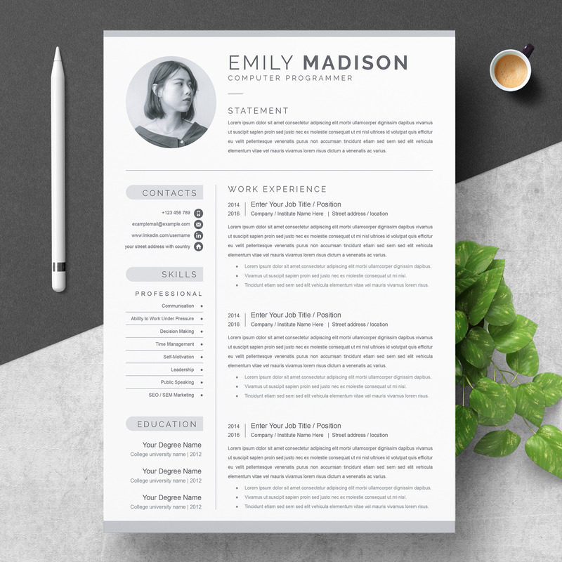 Emily Madison / Resume Template #190080 - TemplateMonster