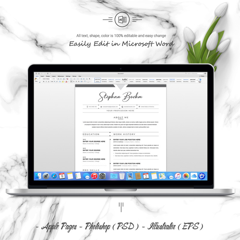 Stephan / CV Template Printable Resume Templates