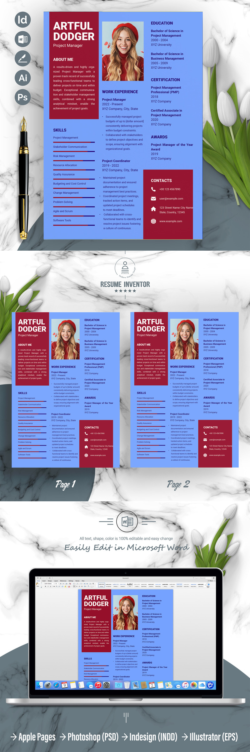 One-Page Professional Resume Template - TemplateMonster