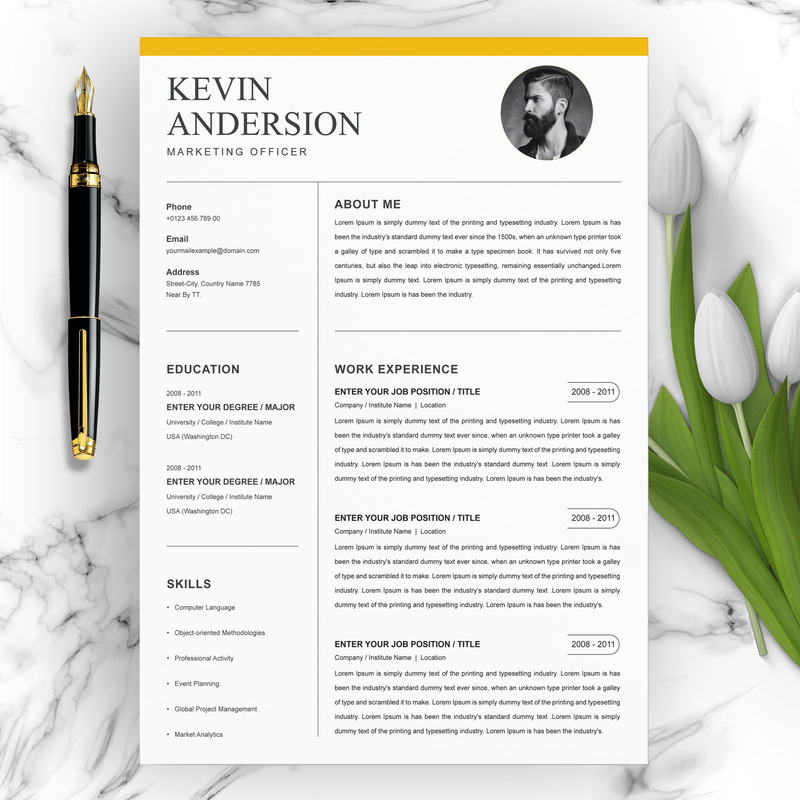 Kevin Anderson / Resume CV #201168 - TemplateMonster