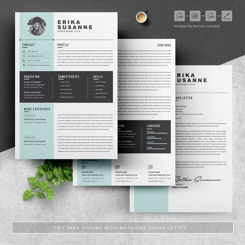 Erika / Profissional Resume Template - TemplateMonster