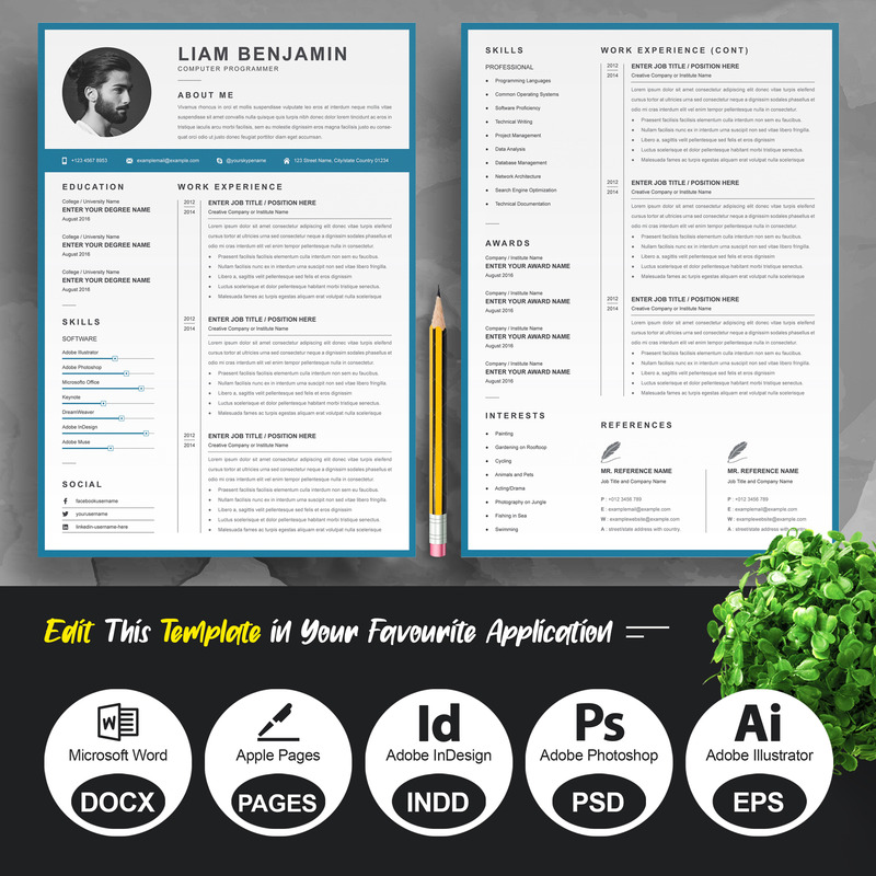 Lima Benjamin / CV Template #193245 - TemplateMonster