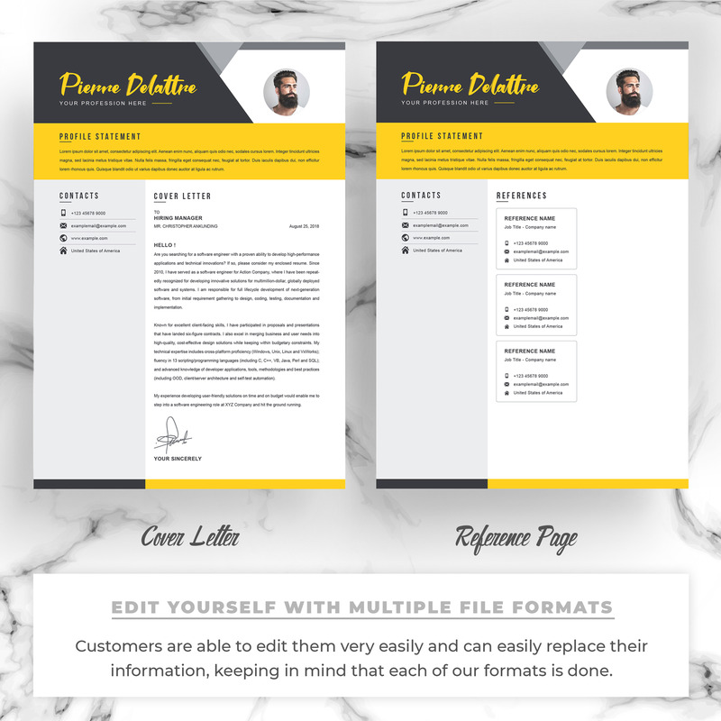 Pierre / Printable Resume Templates #185555 - TemplateMonster