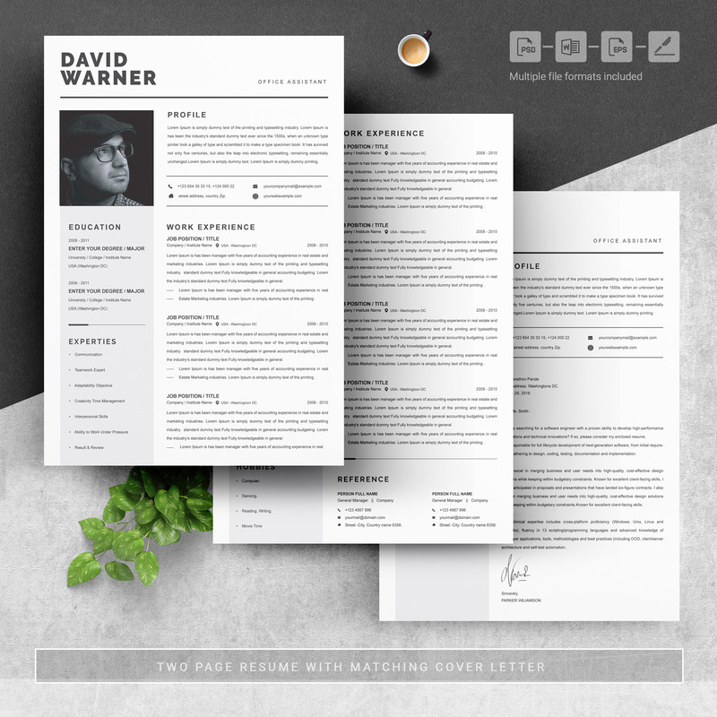 David Warner / CV Template #203382 - TemplateMonster