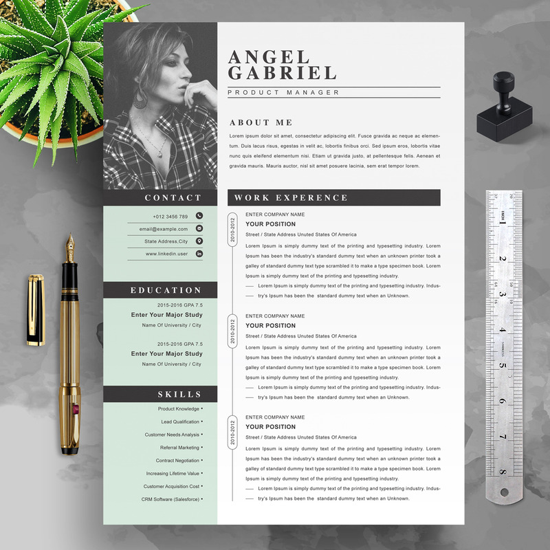 Angel / Professional Resume Template - TemplateMonster