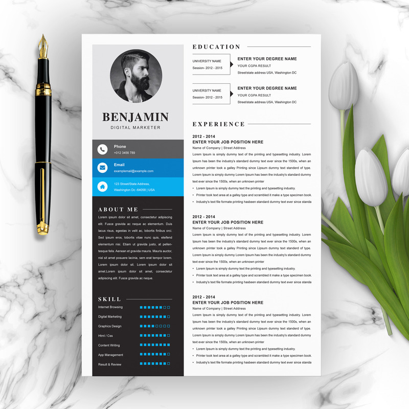 Benjamin / Professional Resume #195144 - TemplateMonster