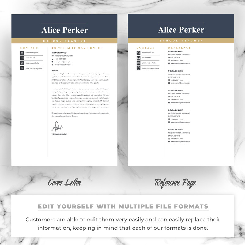 Alice Perker / CV Template #226119 - TemplateMonster