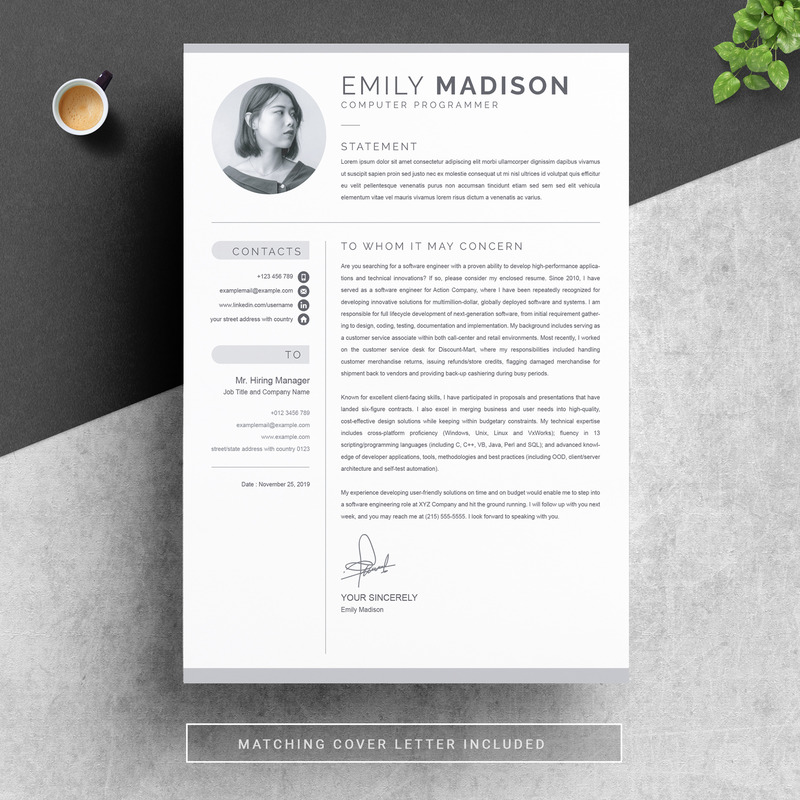 Emily Madison / Resume Template #190080 - TemplateMonster