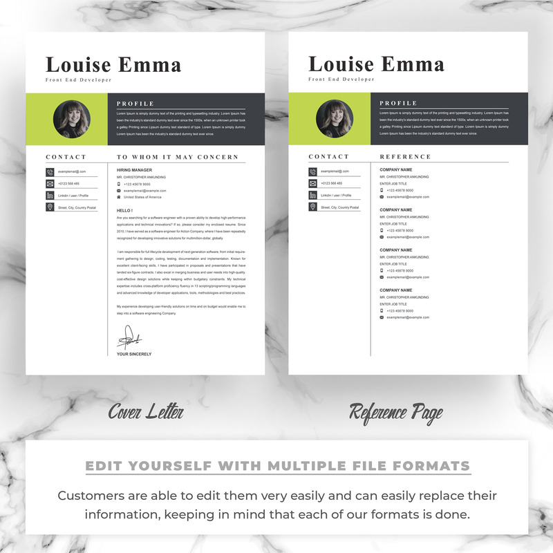 Louise Emma / Professional CV Template - TemplateMonster