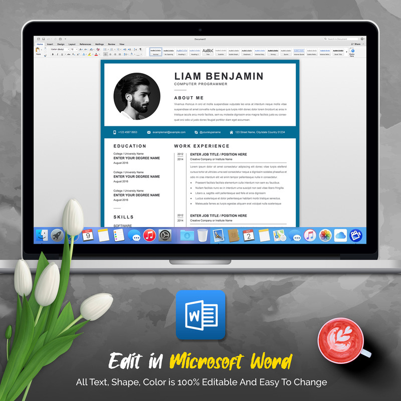 Lima Benjamin / CV Template #193245 - TemplateMonster