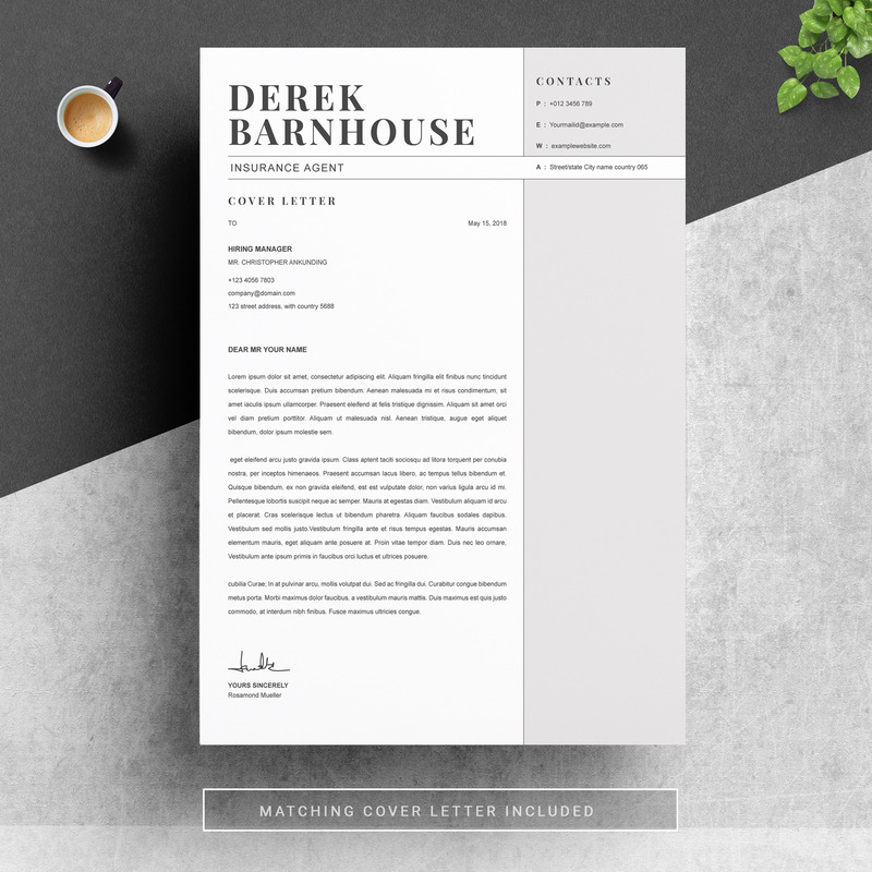 Derek / Professional Printable Resume Templates