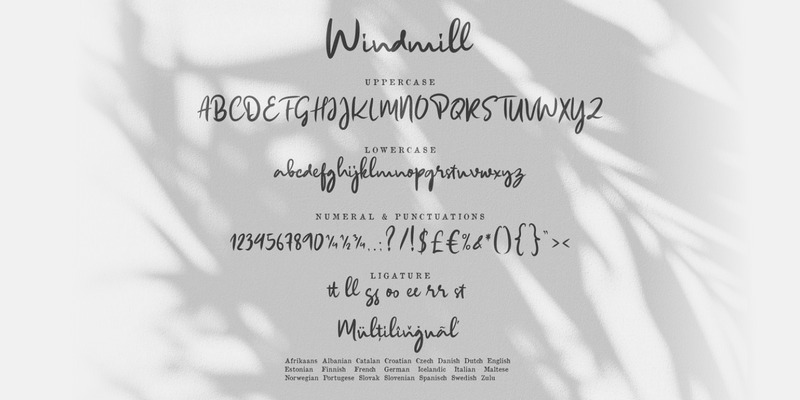 Windmill Script Elegant Font #197726 - TemplateMonster
