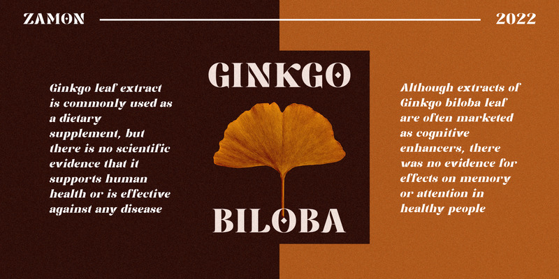 Zamon Modern & Elegant Serif #298242 - TemplateMonster