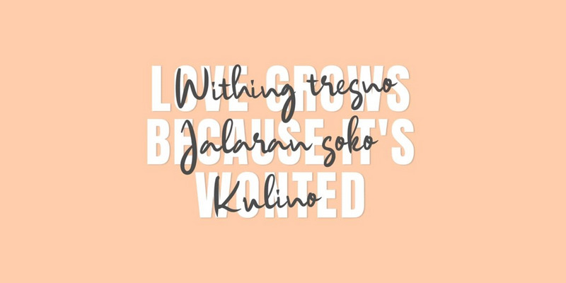 Windmill Script Elegant Font #197726 - TemplateMonster