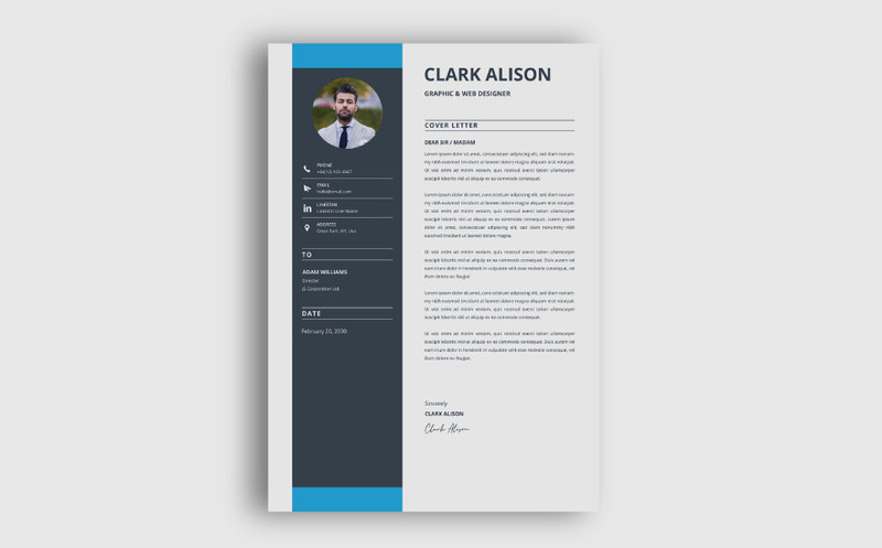 Clark Alison Resume Template #213556 - TemplateMonster