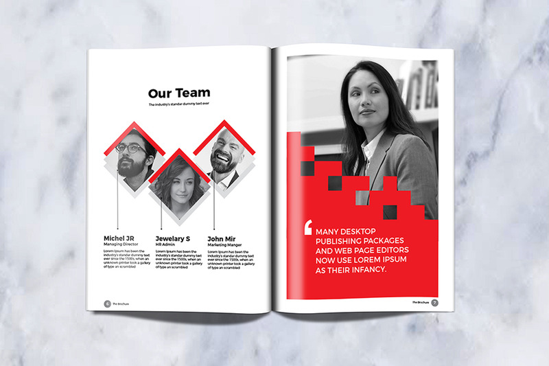 Company Profile Brochure Template with Indesign