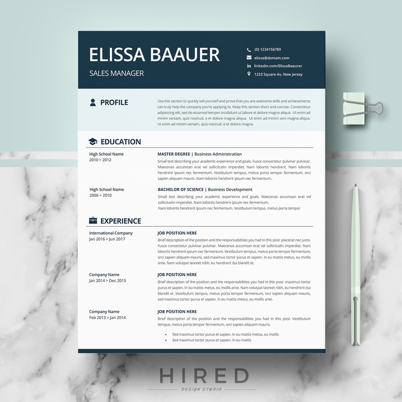 ELISSA - Modern Resume. Professional Biodata template for MS Word ...