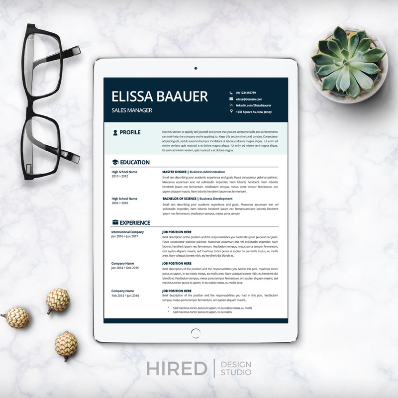 ELISSA - Modern Resume. Professional Biodata template for MS Word ...